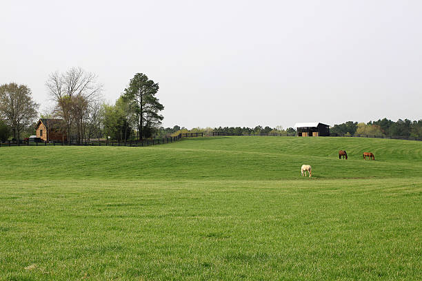 Horse And Hobby Farm Property Infrastructure 101: Fencing, Barns, And ...